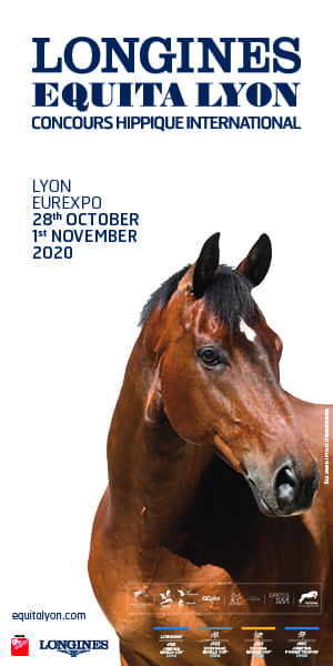 Horses for sale - Ponies for sale | Equirodi UK